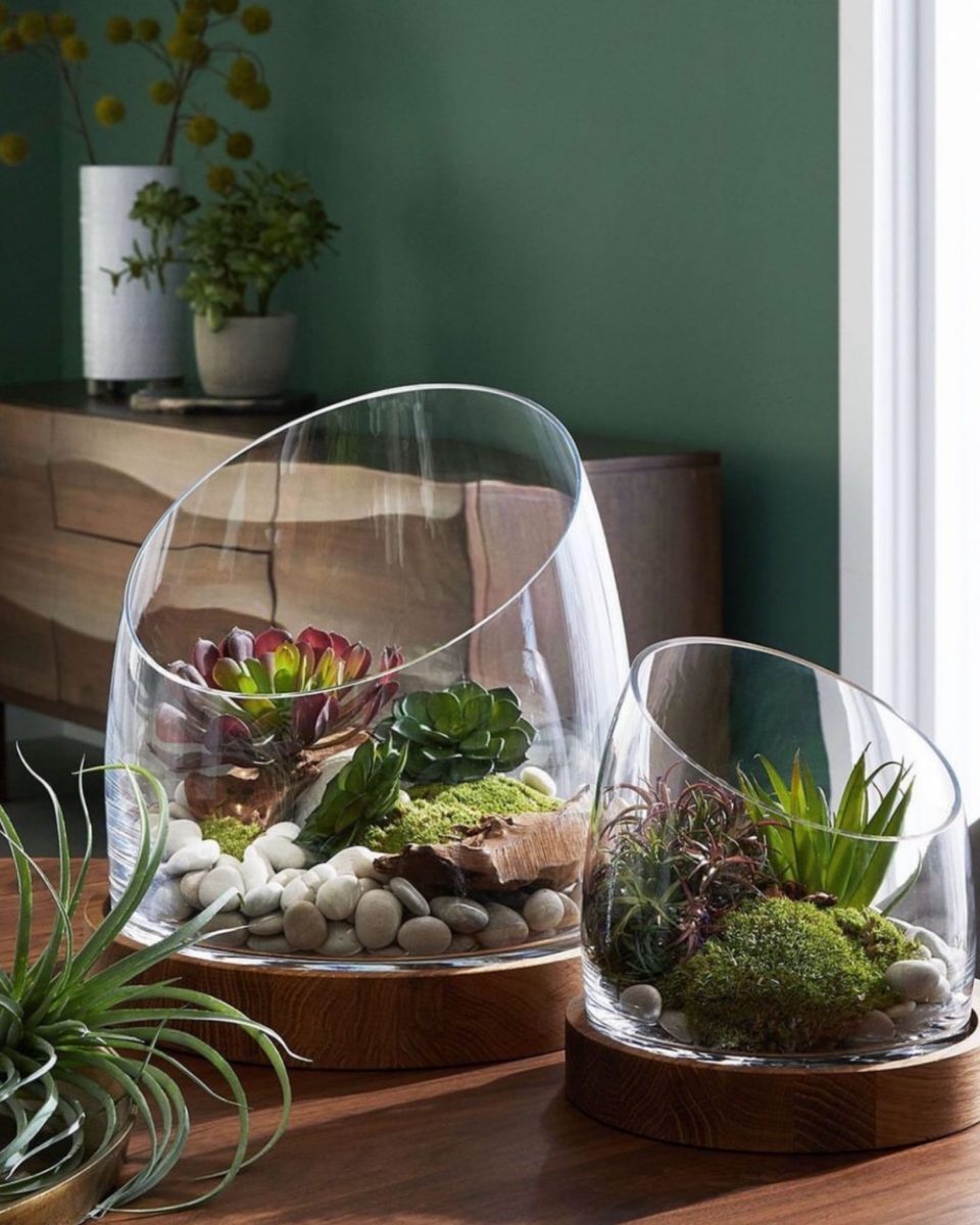 What interior design style uses plants? - The Furnishing Room